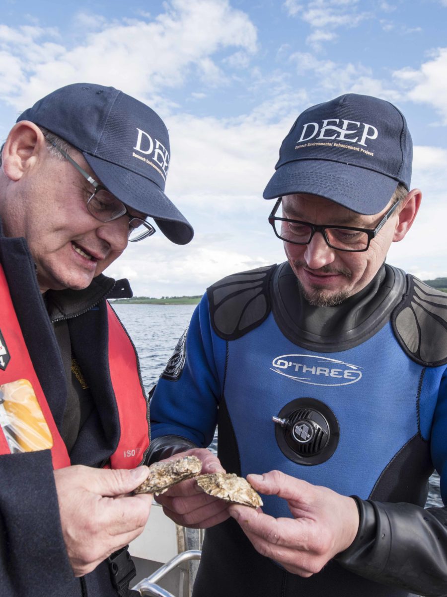 Restoration projects – Native Oyster Network